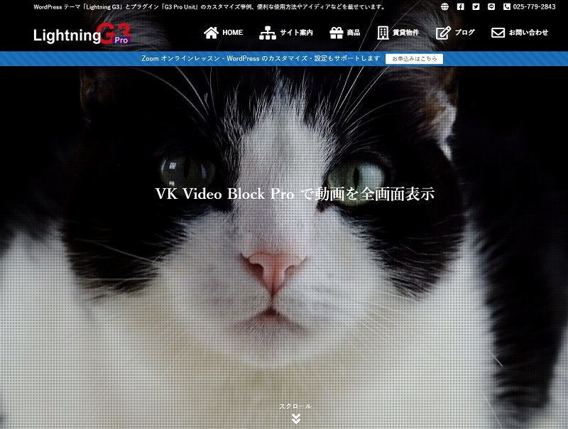 VK Video Block Pro の動画を全画面で表示するやり方 | Lightning G3 Pro / VK Blocks Pro のカスタマイズ、TIPS